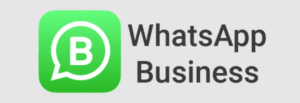 Types of WhatsApp: Which One is Right for You? [Full Guide]